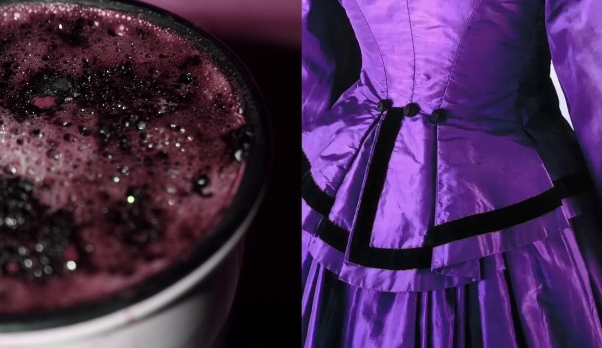 ทำความรู้จักกับสี ‘Tyrian Purple’ โทนสีที่ขึ้นชื่อว่าแพงที่สุดในโลก!